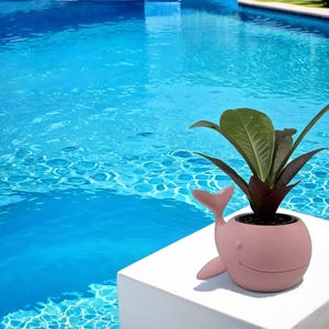 Whale Planter | Whale Pot | Animal Planter | Whale Plant Pot | Unique Whale Flower Pot | Cute ...