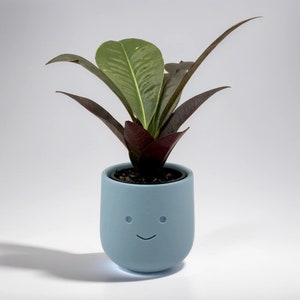 Smiling Planter | Smiling Pot | Happy Planter | Happy Smile Planter ...