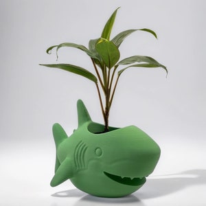 Shark Planter | Shark Pot | Kids Shark Planter | Cute Shark Planter ...