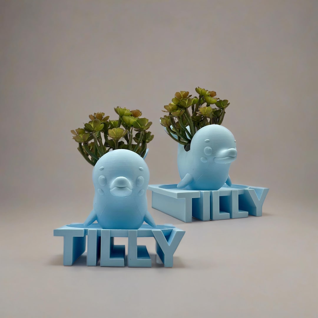 Custom Dolphin Planter | Dolphin-shaped Plant Pot | Custom Dolphin ...