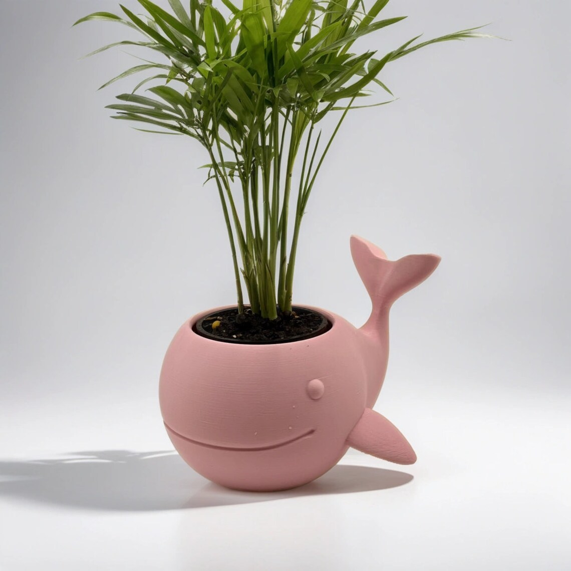 Whale Planter Whale Pot Animal Planter Whale Plant Pot Animal Plant Pot ...