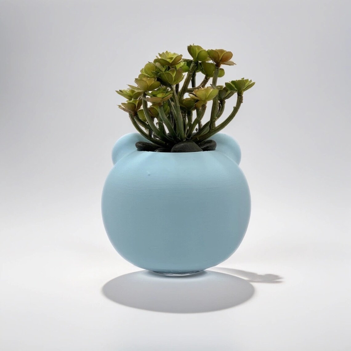 Frog Head Planter Frog Head Pot Cartoon Frog Head Planter Novelty Cute ...