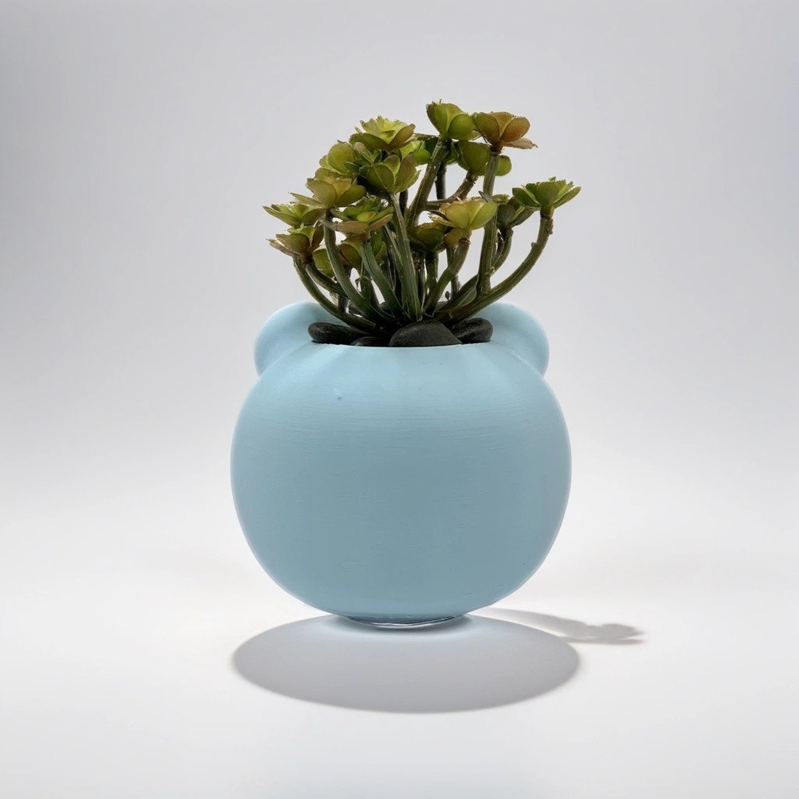 Frog Head Planter Frog Head Pot Cartoon Frog Head Planter Novelty Cute ...
