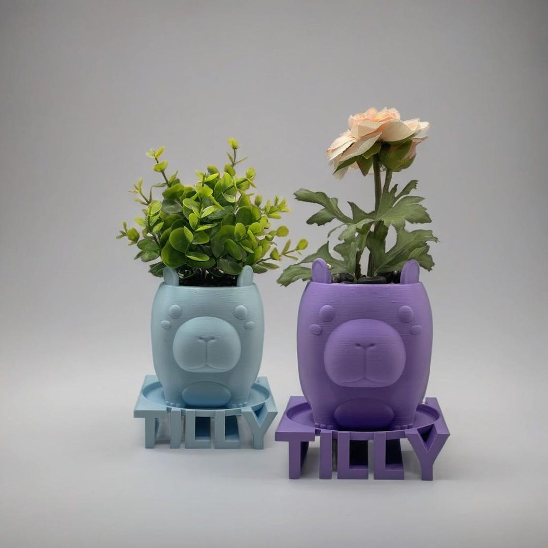 Custom Capybara Planter | Custom Capybara Pot | Personalized Capybara ...