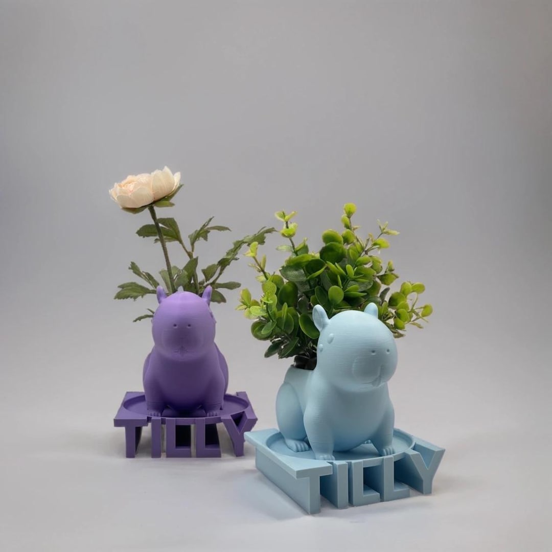 Custom Capybara Planter | Custom Capybara Pot | Quirky Capybara Planter ...