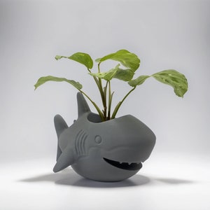Shark Planter | Shark Pot | Kids Shark Planter | Cute Shark Planter ...