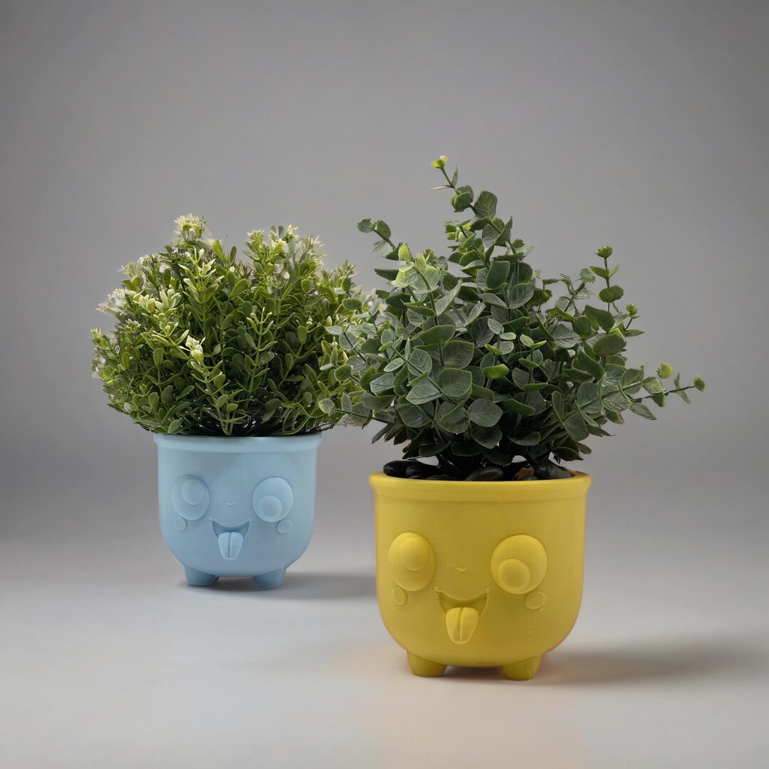 Crazy Face Planter | Crazy Face Pot | Creative Crazy Face Planter ...