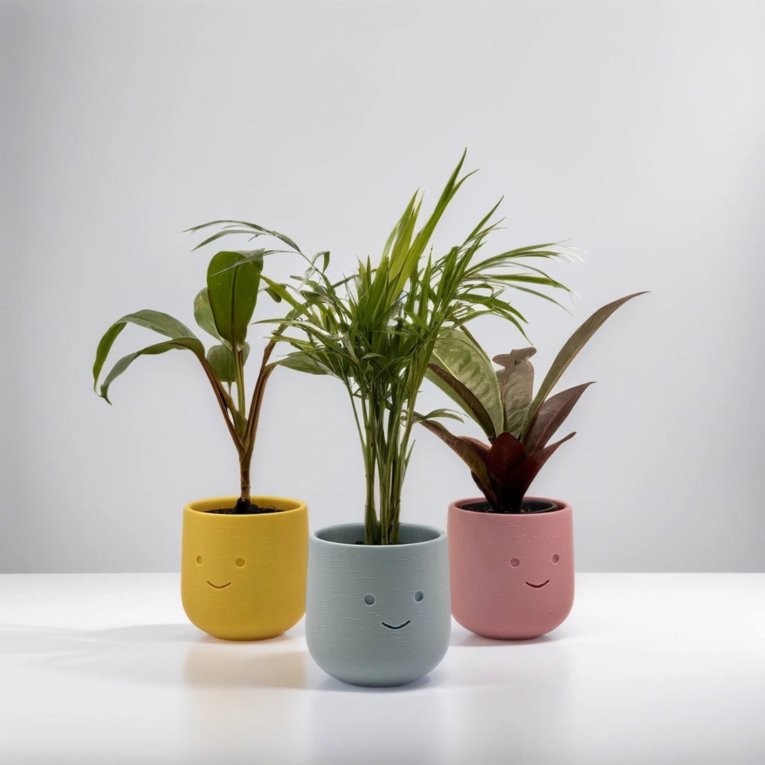 Smiling Planter | Smiling Pot | Happy Planter | Happy Smile Planter ...