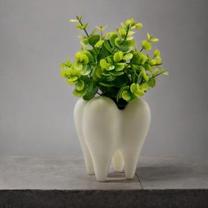 Tooth Planter | Tooth Pot | Creative Planter | Cute Tooth Planter | 3D ...