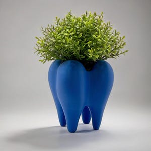 Tooth Planter | Tooth Pot | Creative Planter | Cute Tooth Planter | 3D ...