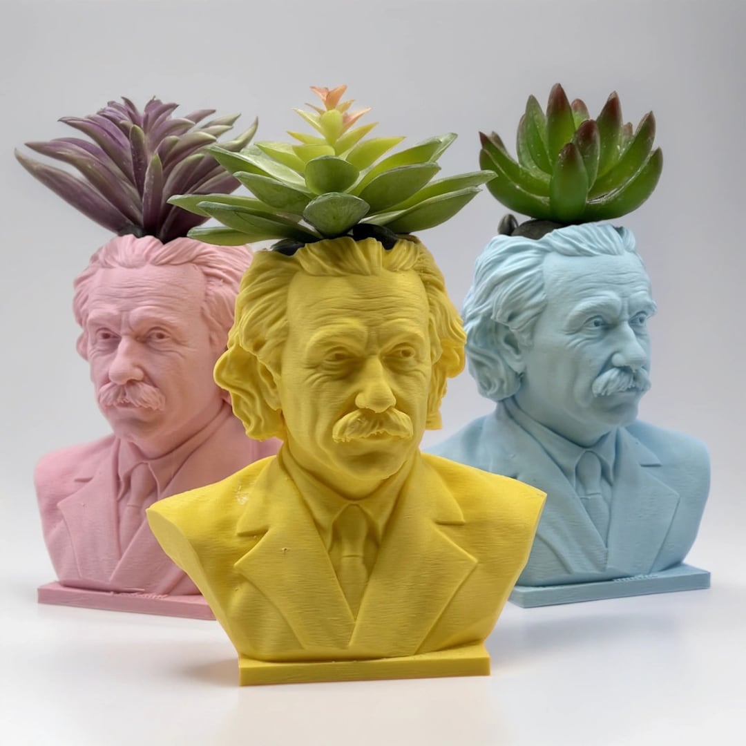 Einstein Planter | Einstein Pot | Kids Einstein Planter | Mathematician ...