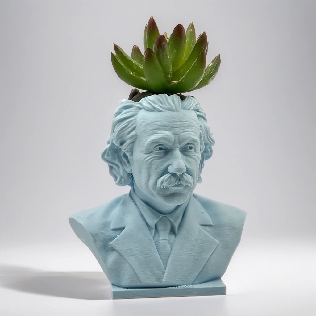 Einstein Planter Einstein Pot Kids Einstein Planter Cute Einstein ...