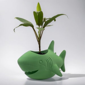 Shark Planter | Shark Pot | Kids Shark Planter | Cute Shark Planter ...