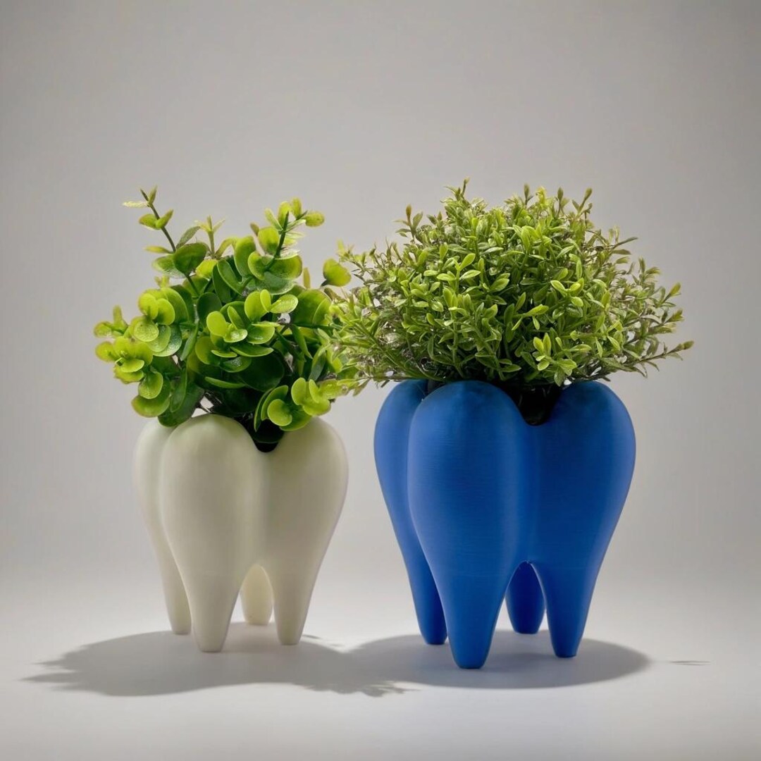 Tooth Planter | Tooth Pot | Creative Planter | Cute Tooth Planter | 3D ...