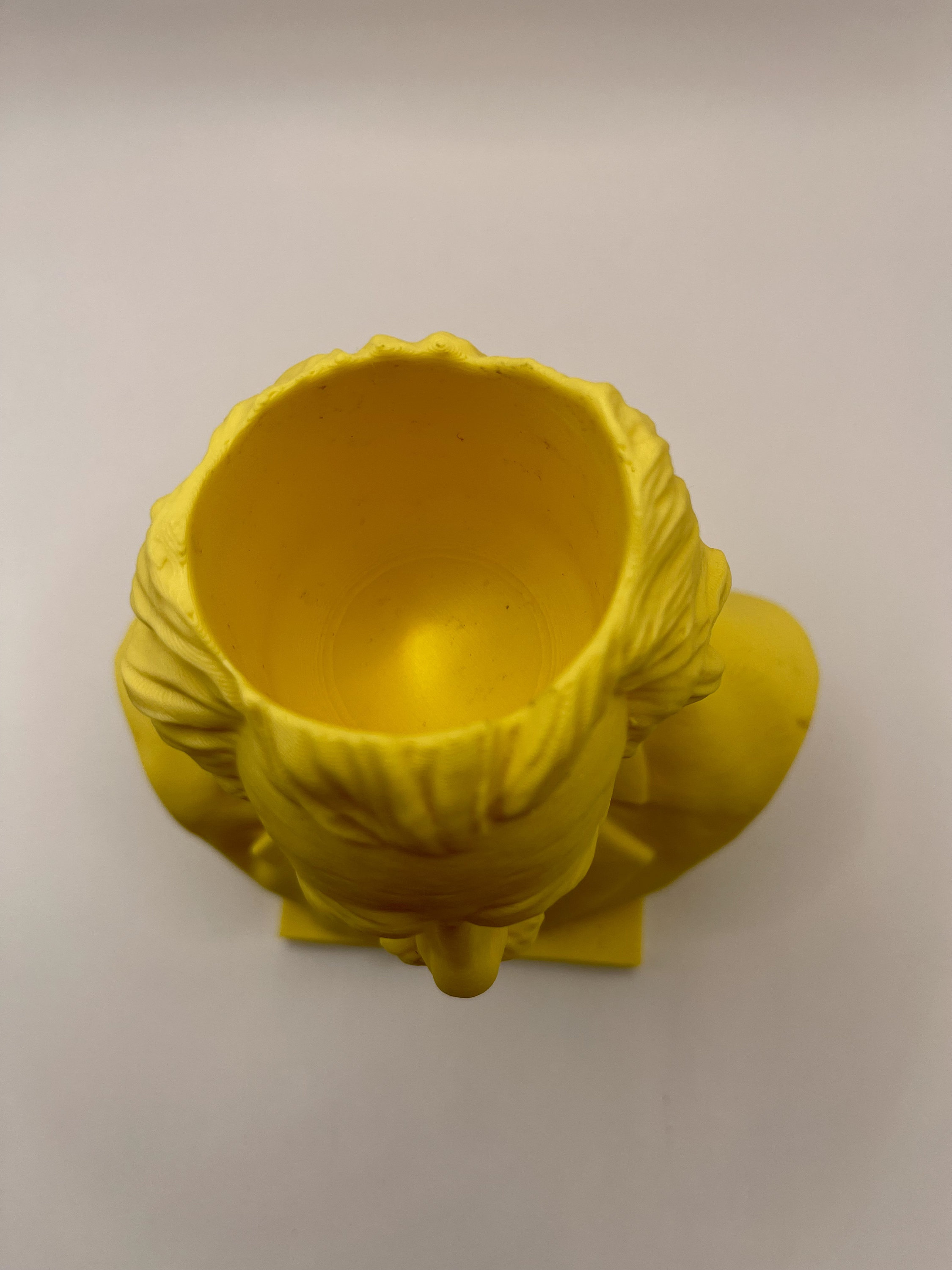 Einstein Planter Einstein Pot Kids Einstein Planter Cute Einstein ...