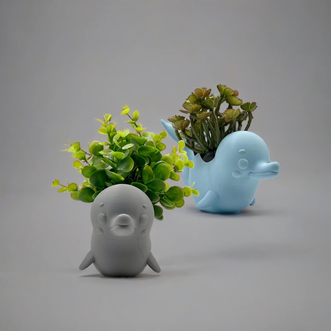 Dolphin Planter | Dolphin Shaped Plant Pot | Dolphin Succulent Planter ...