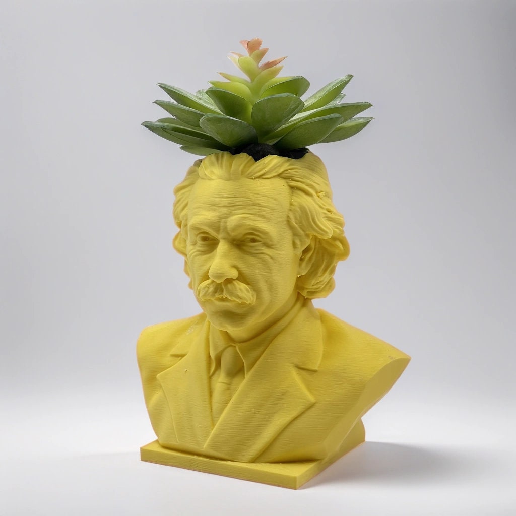 Einstein Planter Einstein Pot Kids Einstein Planter Cute Einstein ...