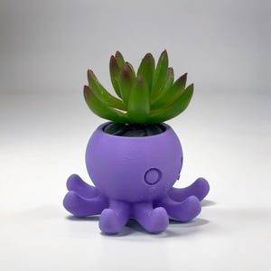 Octopus Planter Octopus Pot Kids Octopus Planter Cute Octopus Planter ...