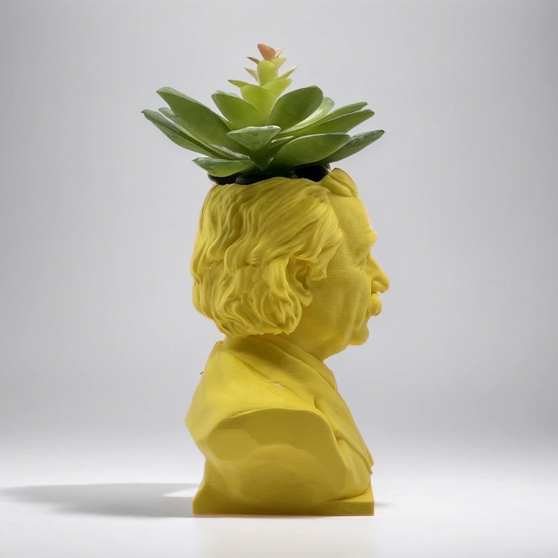 Einstein Planter Einstein Pot Kids Einstein Planter Cute Einstein ...