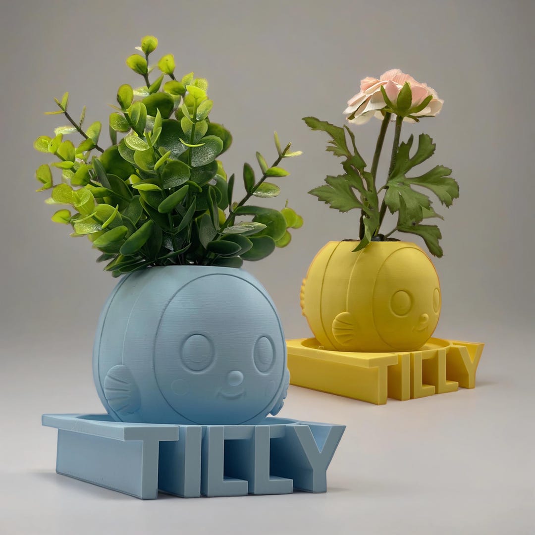 Custom Clownfish Planter | Clownfish Plant Pot | Clownfish Indoor ...