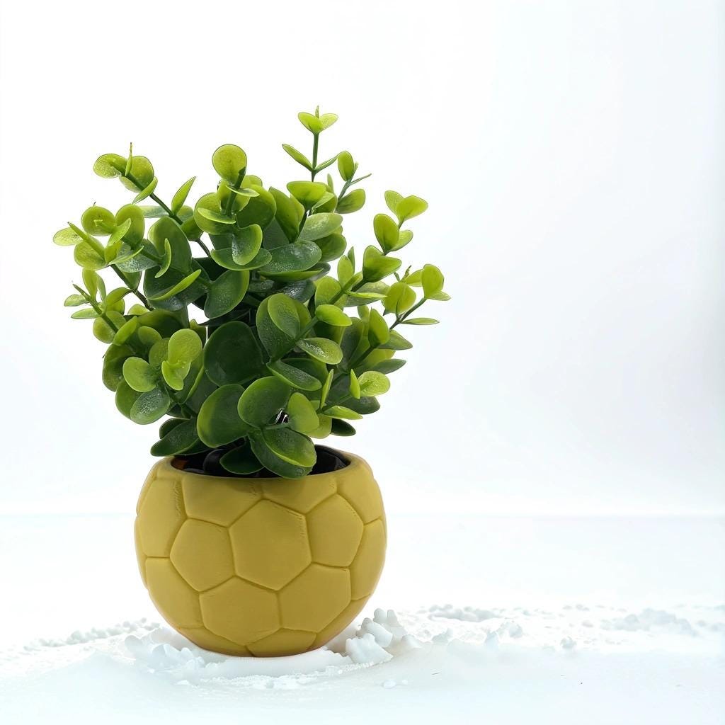 Soccer Ball Planter Soccer Ball Pot Cartoon Soccer Ball Planter Novelty ...