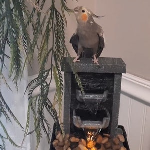 Home Decor Water Pumps Tabletop Fountain Decorative Relaxation Indoor ...