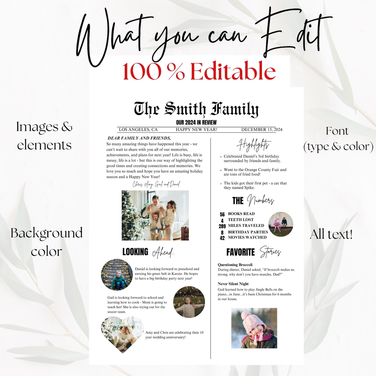 Editable Family Newsletter Template for Holidays and New Years ...