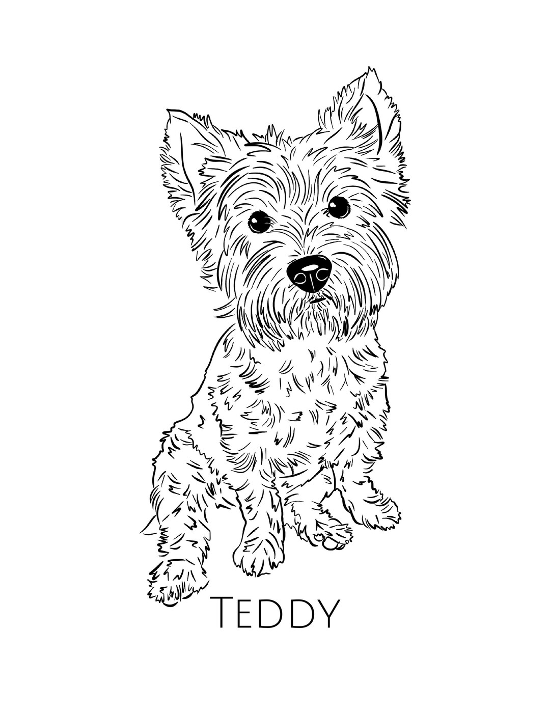 Custom Pet Portrait Outline, Digital Download Hand Drawn From Photo W ...