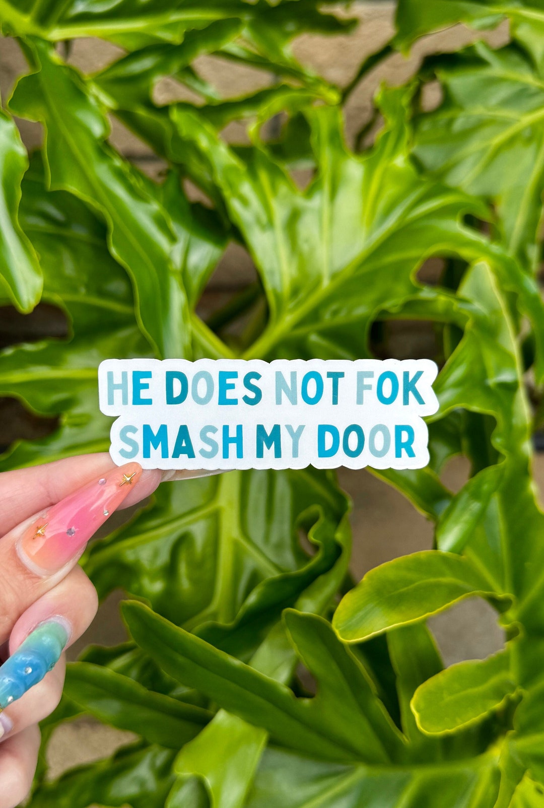 Guenther Steiner Smash My Door F1 Sticker | F1 Cute Sticker | Cute ...