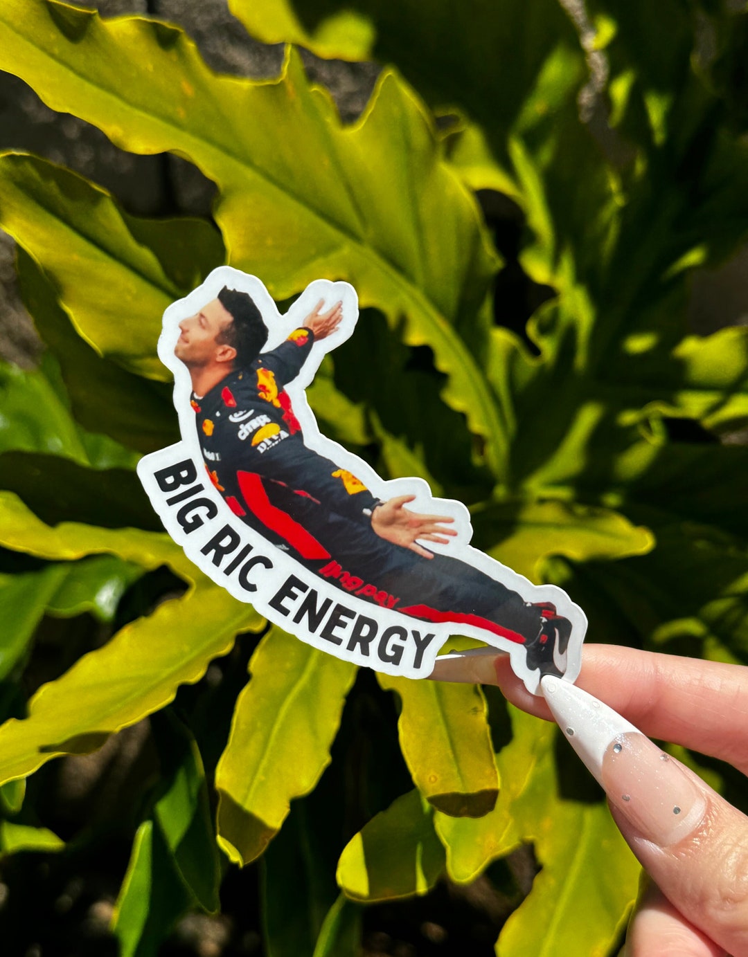 Big Ric Energy F1 Sticker F1 Cute Sticker Cute Sticker for Notebooks ...