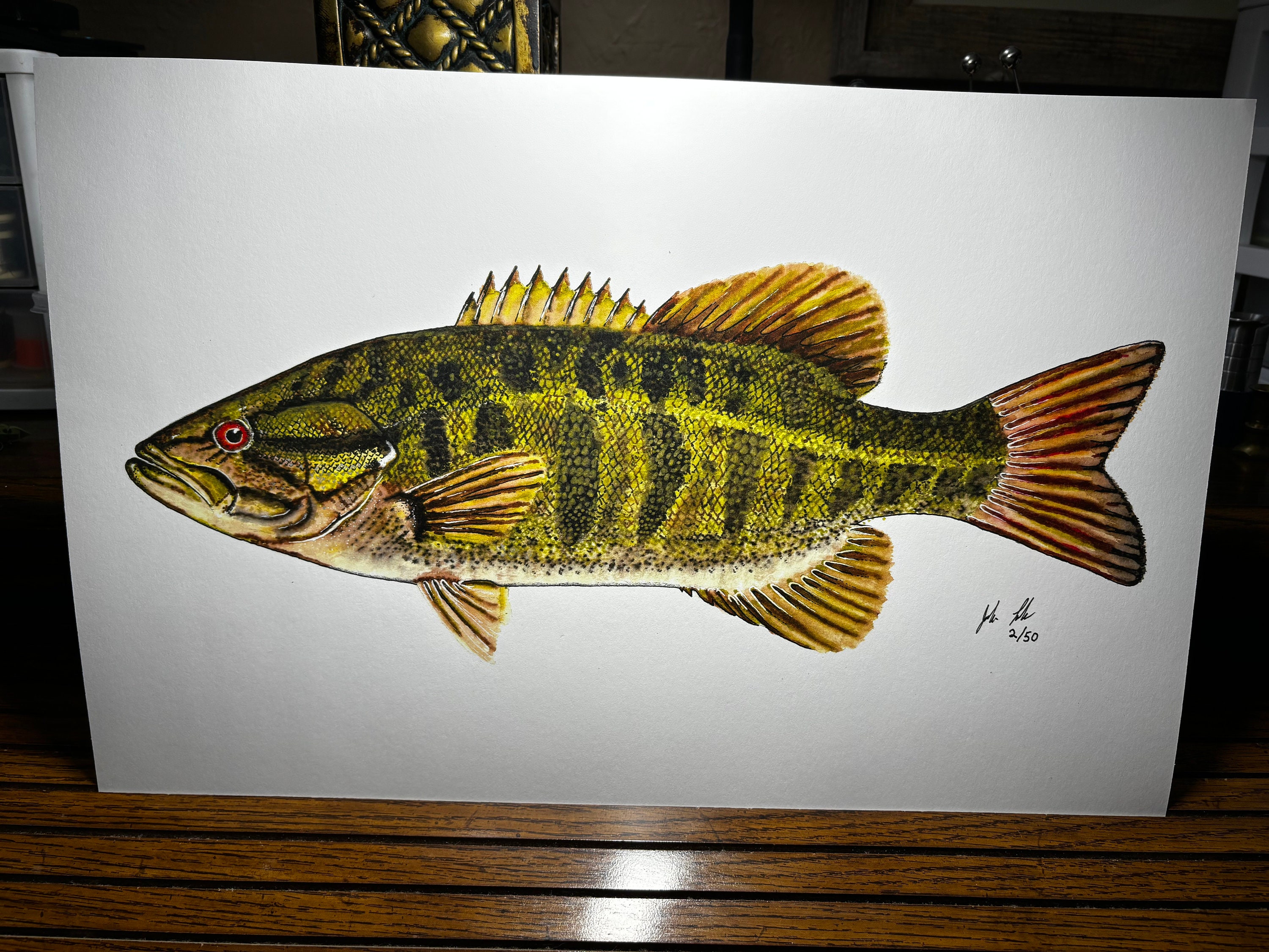 Smallmouth Bass Painting, Bass Print - Etsy