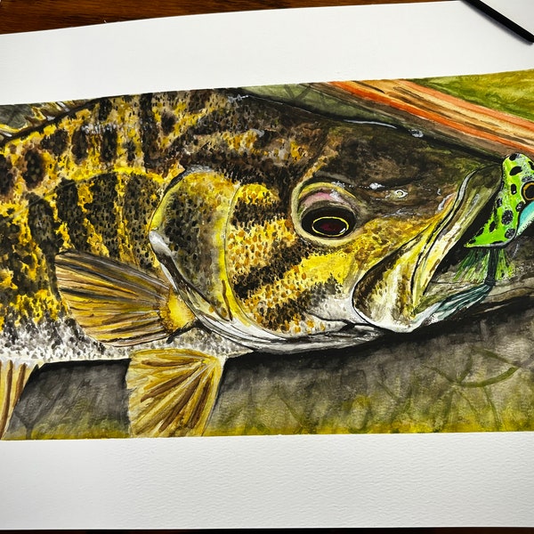 Bass Watercolor - Etsy