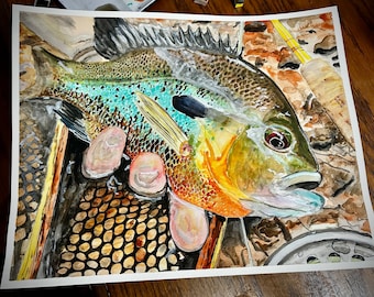 Redbreast Sunfish Watercolor Art Print - Etsy