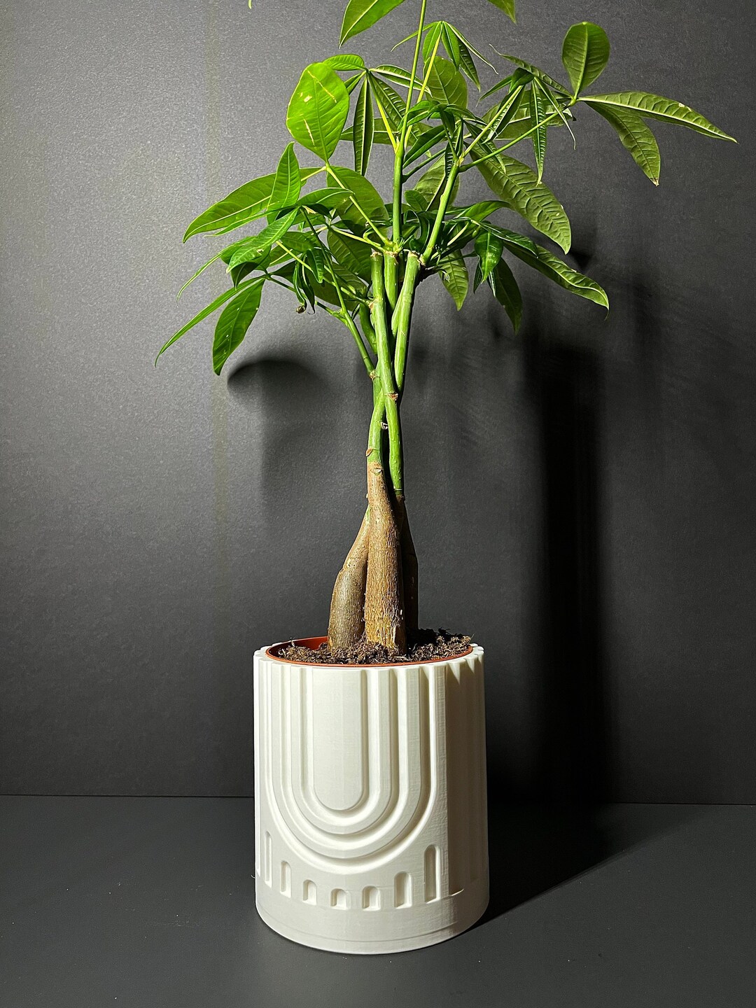 Indoor Planter White Small Tree Pot - Etsy