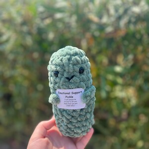 Crochet Emotional Support Pickle - Etsy