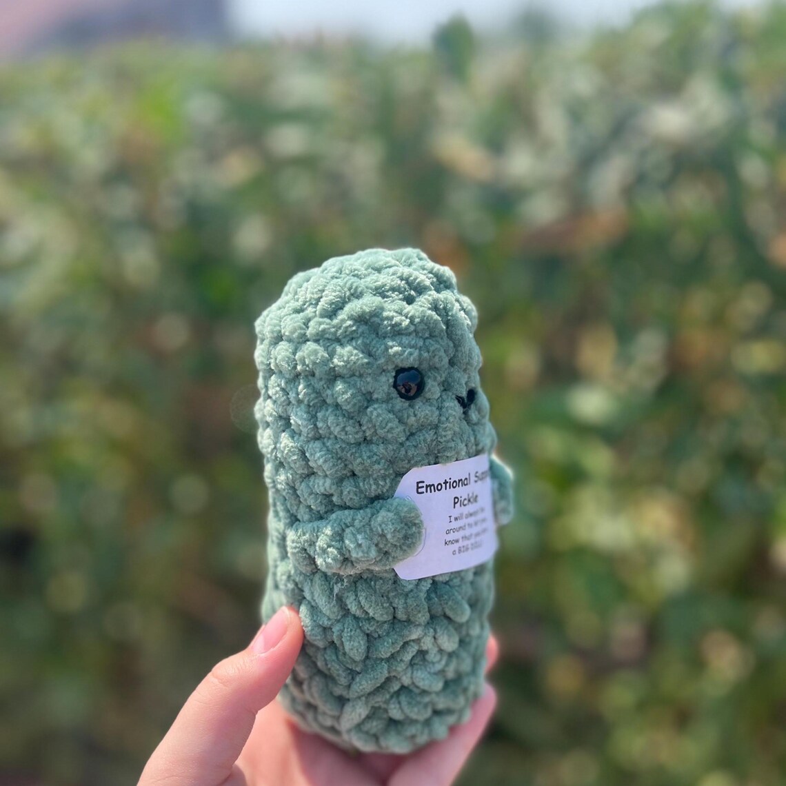 Crochet Emotional Support Pickle - Etsy