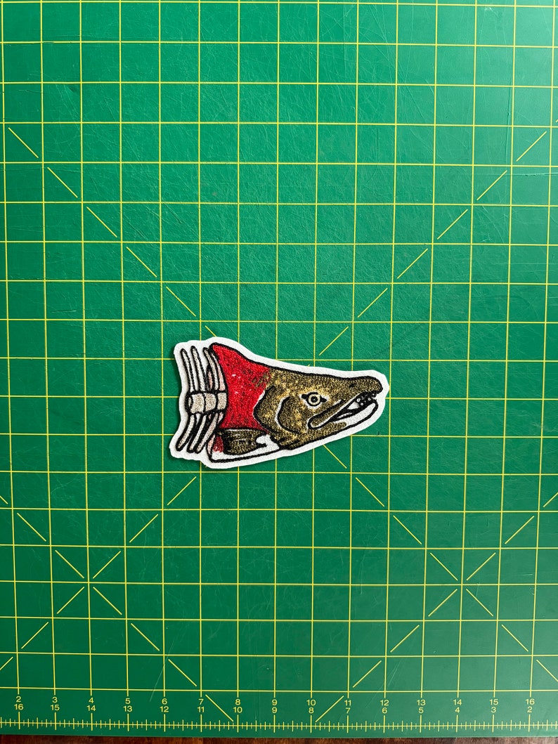 Salmon Life Cycle Patch - Etsy