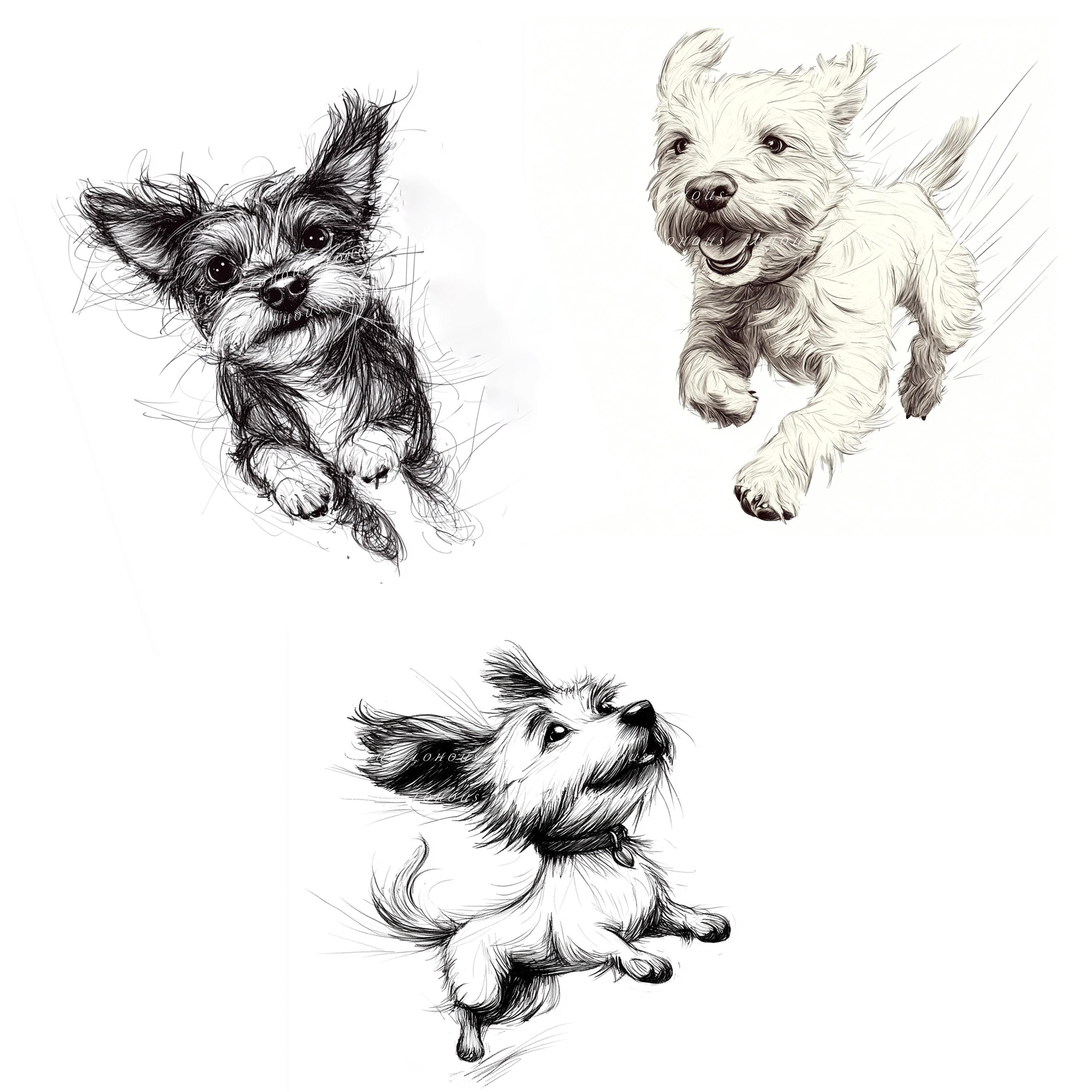 12 Jpgs Line Drawing Dogs Digital Printable Clipart, Dog Line Art, Pet ...