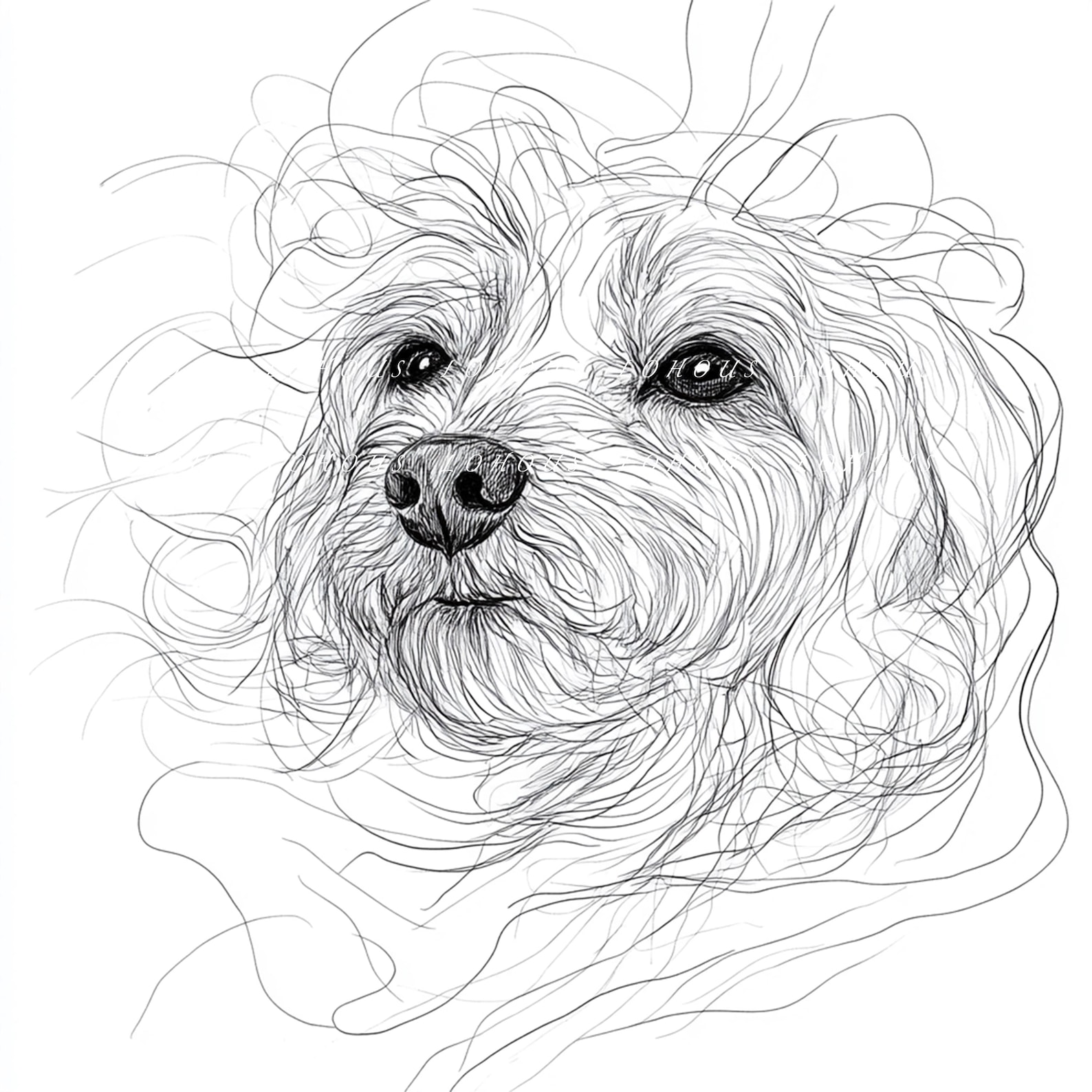 12 Jpgs Line Drawing Dogs Digital Printable Clipart, Dog Line Art, Pet ...