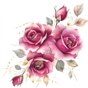 Birth Month Flower June Roses Clipart Digital Printabe 10 Pngs/botnical ...