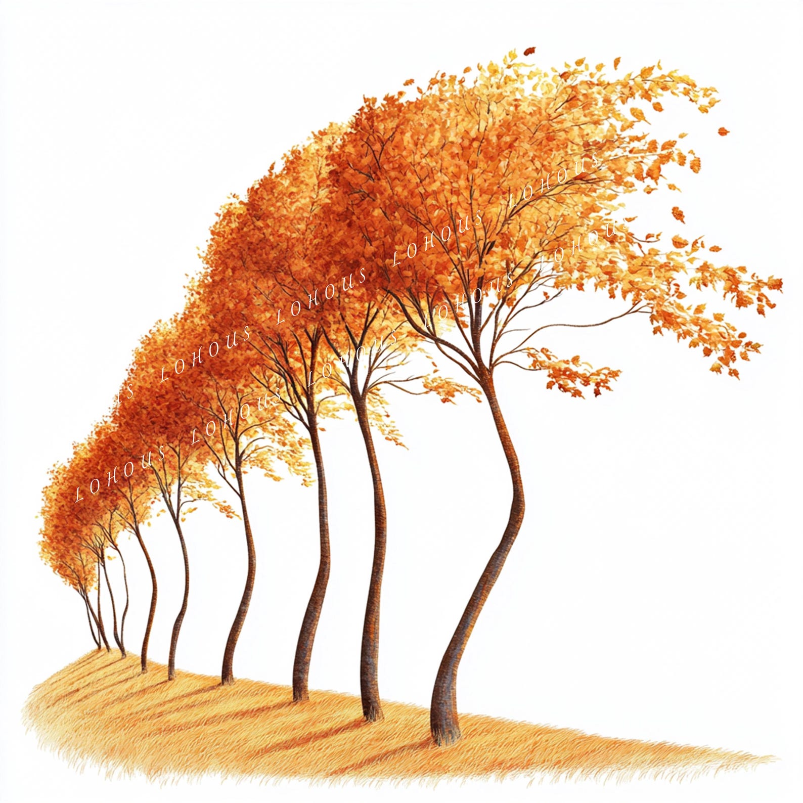 10 Jpgs and 10 Pngs Watercolor Autumn Trees Digital Clipart, Instant ...