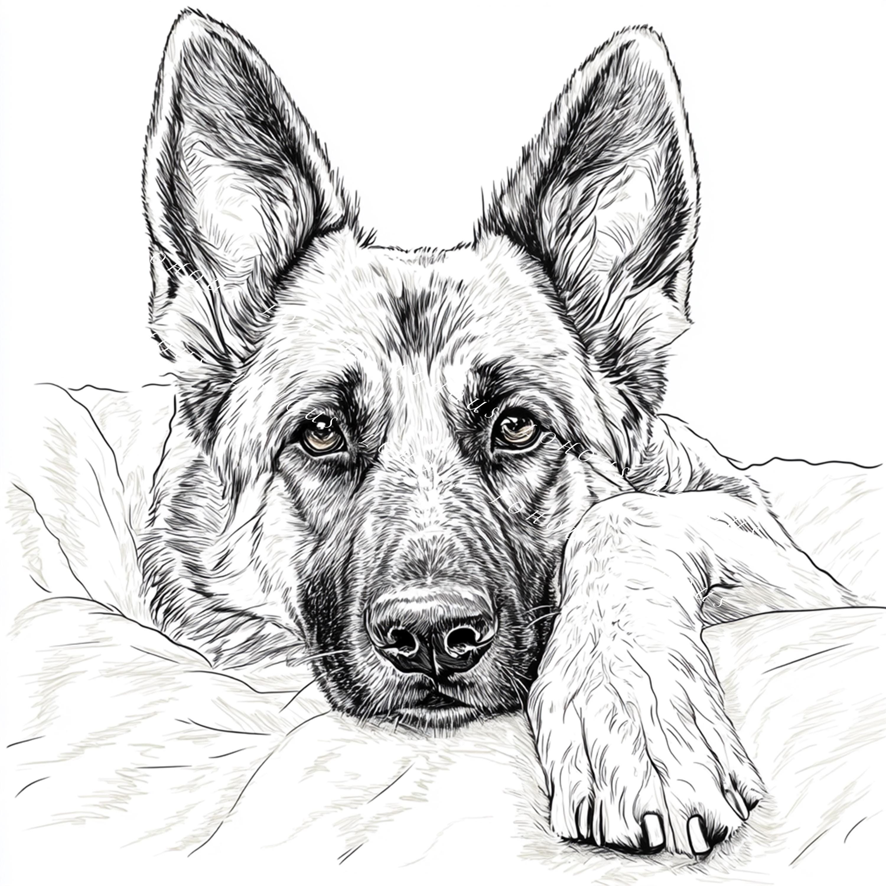 German Shepherd Line Art: Dog Portrait Clipart (digital Download) - Etsy