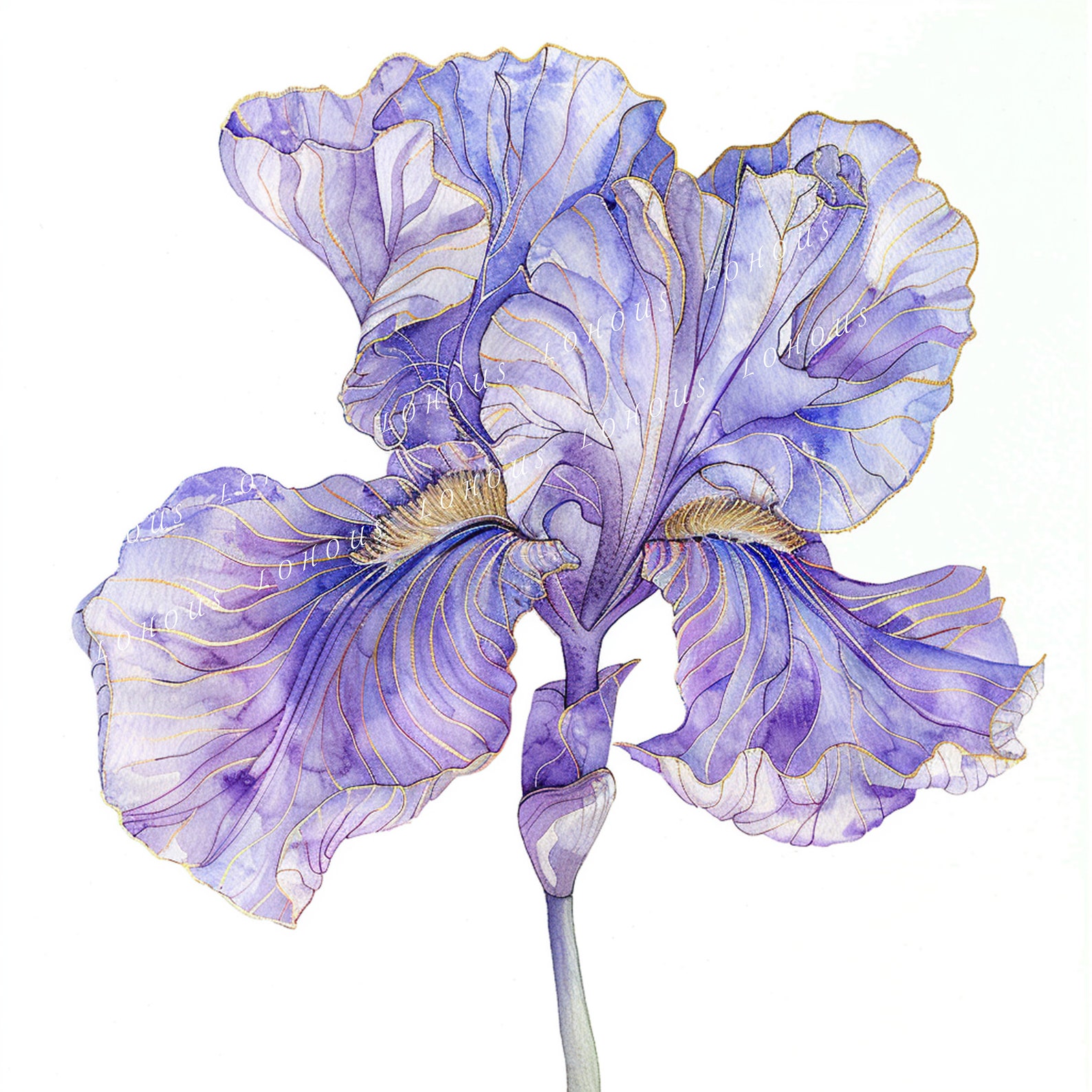 Birth Month Flower May Lily 10 Pngs Watercolor Printable Clipart ...