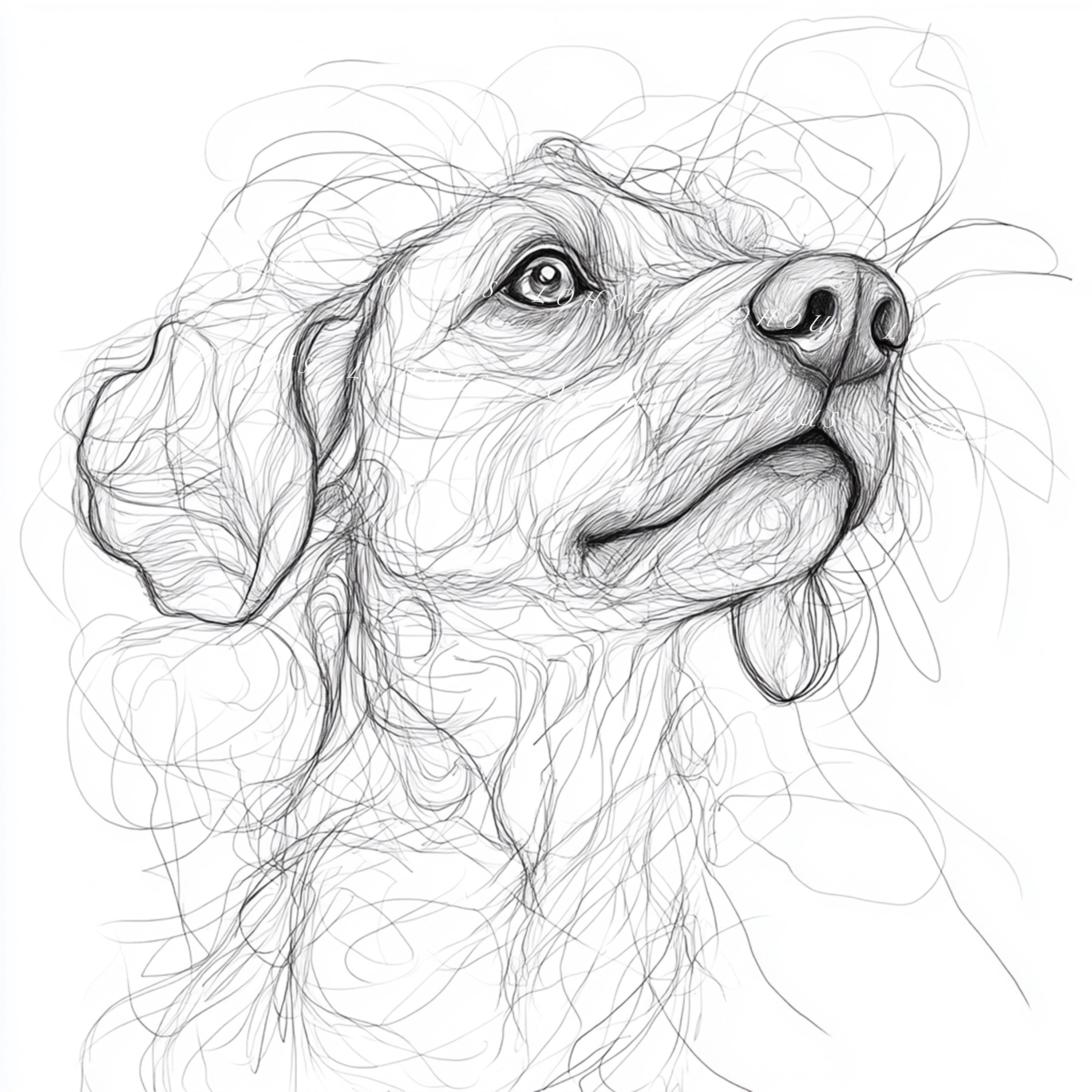 12 Jpgs Line Drawing Dogs Digital Printable Clipart, Dog Line Art, Pet ...