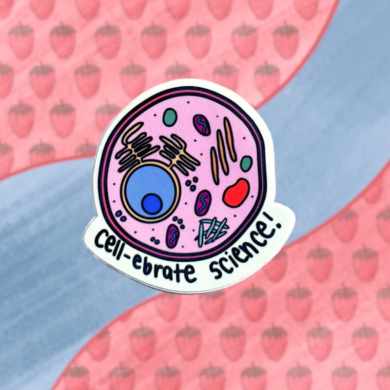 Biology Stickers - Etsy