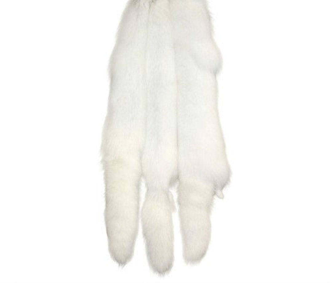 Arctic Fox Full Pelt White - Etsy