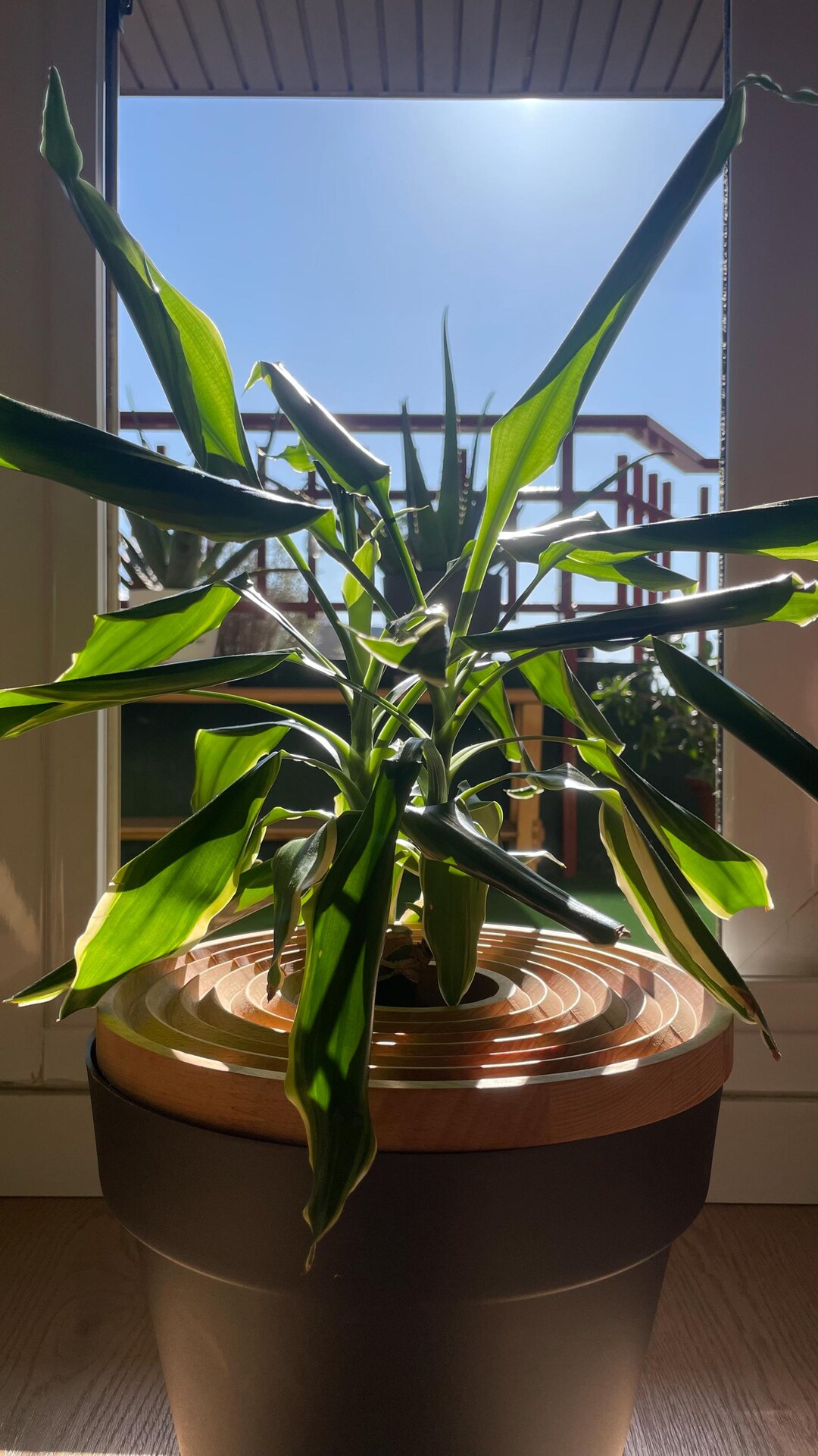 Solid Wood Planter Pots – Handcrafted With Unique Textures, Ideal for ...