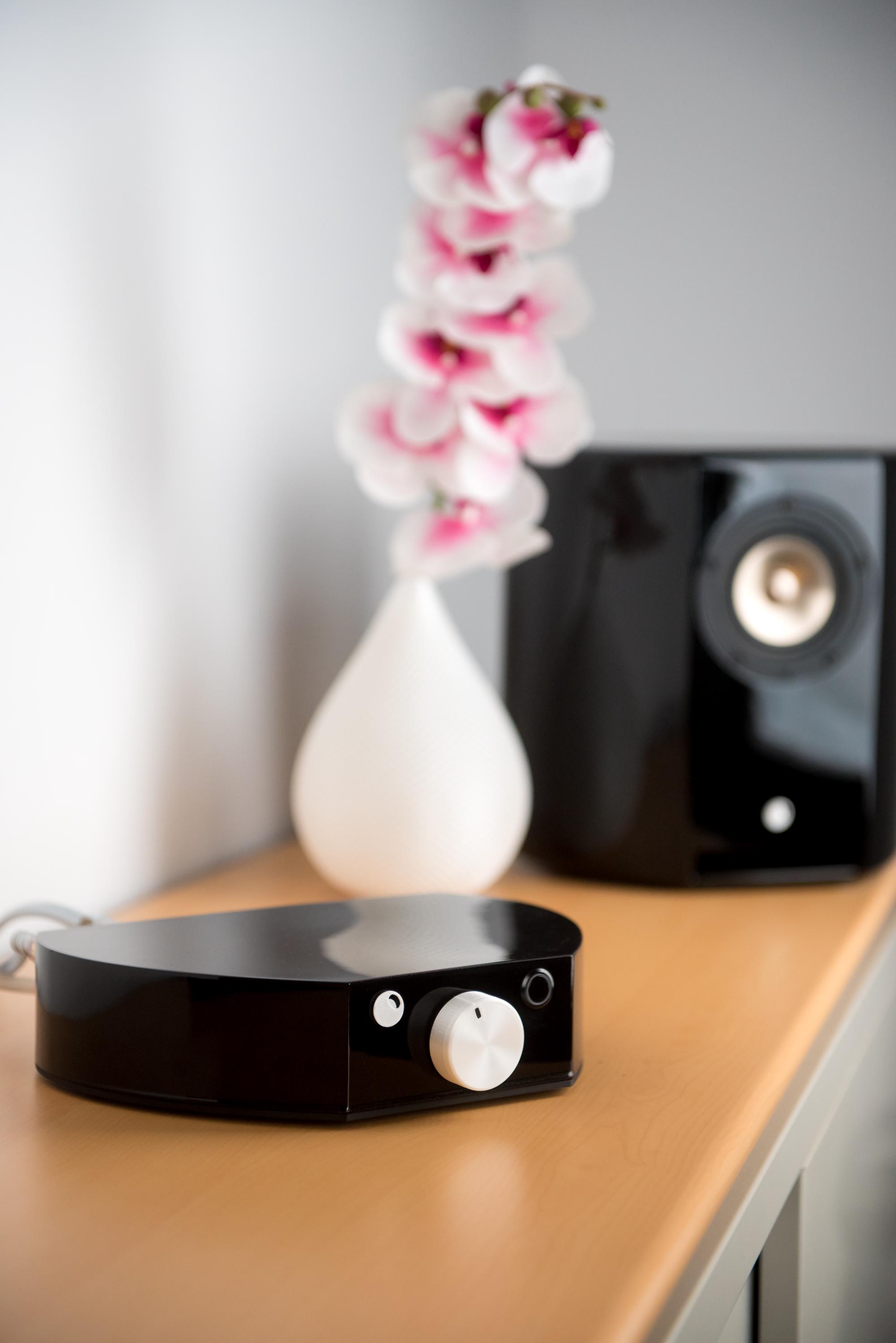 3D Printed Speakers and Amplifier - Etsy