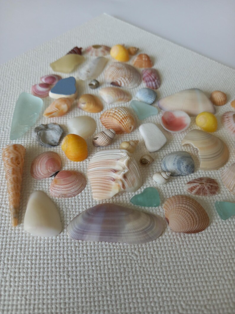 Seashell Heart Mix Artwork Beach Wall Decor - Etsy