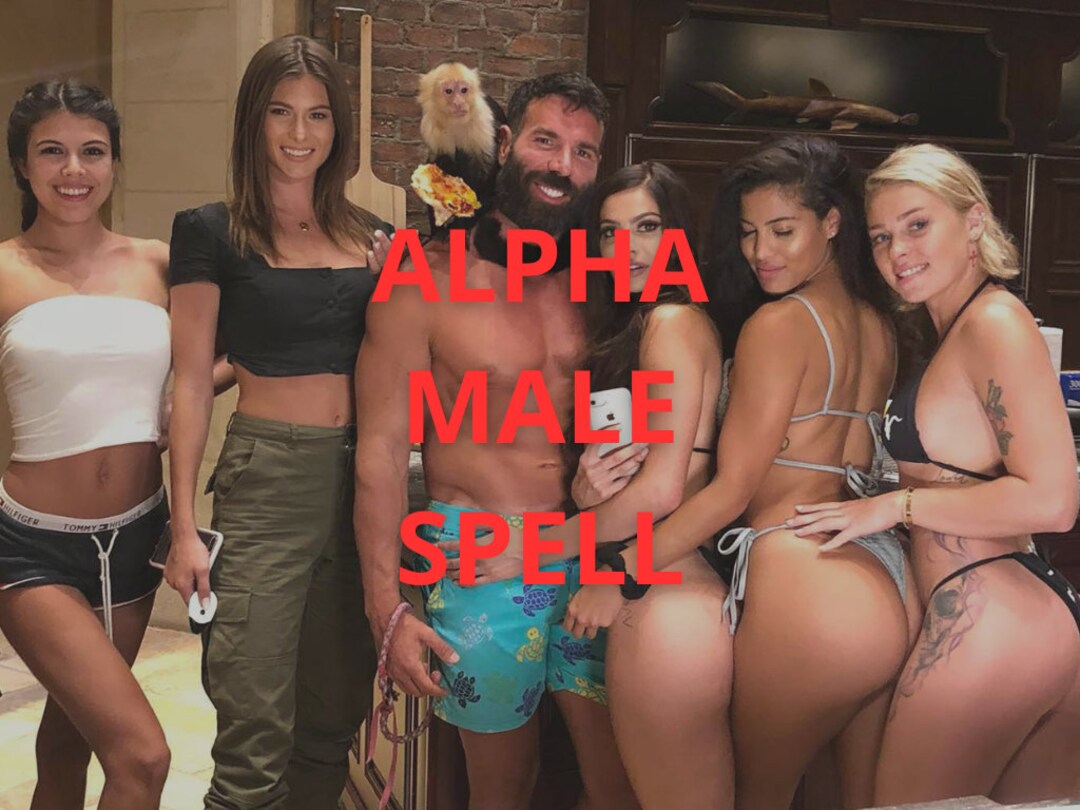 ALPHA MALE SPELL Quick Cast - Become the Irresistible King Alpha - Etsy